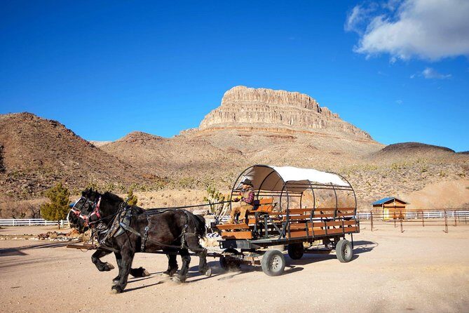 Horseback Ride Joshua Tree Forest Buffalo Lunch Singing Cowboy - Introduction and Overall Impression