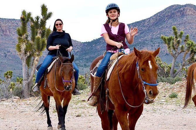 Horseback Ride Joshua Tree Forest Buffalo Lunch Singing Cowboy - Practical Details and What to Expect