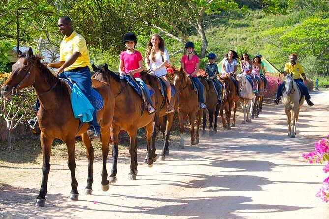 Horseback Ride n Swim and Green Grotto Adventure Tour from Falmouth - Key Points