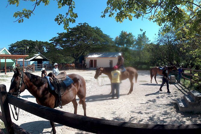 Horseback ride n Swim - An In-Depth Look at the Horseback Ride and Swim Experience