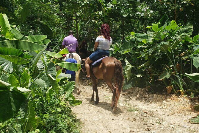 Horseback 'Ride N Swim' & Dunns River Falls from Montego Bay - Introduction