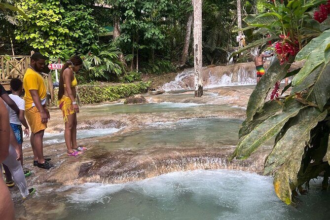 Horseback 'Ride N Swim' & Dunns River Falls from Montego Bay - Analyzing Value and Price