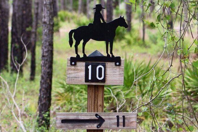 Horseback Ride on Scenic Lake Louisa Trails - Pricing and Value