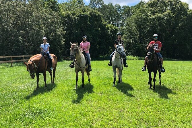 Horseback Ride on Scenic Lake Louisa Trails - Reviews: Authentic Perspectives