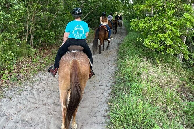Horseback Ride on Scenic Lake Louisa Trails - Who Is This Tour Best For?