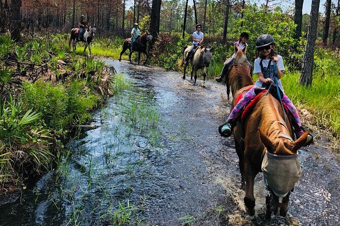 Horseback Ride on Scenic Lake Louisa Trails - The Sum Up