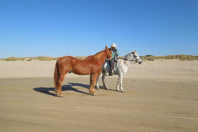 Horseback Ride on the Beach & Alcatraz Tour in San Francisco - An In-Depth Look at the Tour Experience