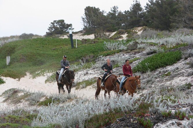 Horseback Ride on the Beach & Alcatraz Tour in San Francisco - The Sum Up