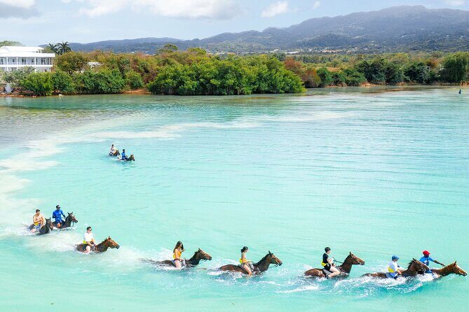 Horseback Ride/Swim and Blue Hole Falls Daytrip with Transfers - Key Points