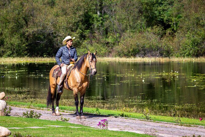 Horseback Ride Through Puerto Plata - An In-Depth Look at the Horseback Ride Experience in Puerto Plata