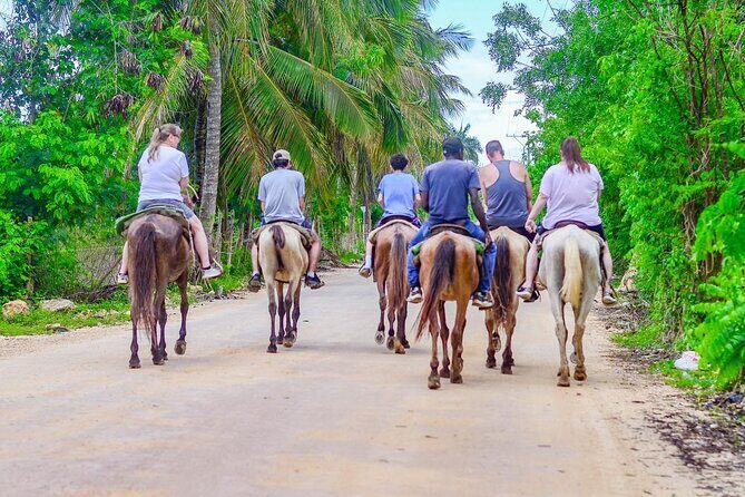 HORSEBACK - RIDE Through Punta Cana - FAQ