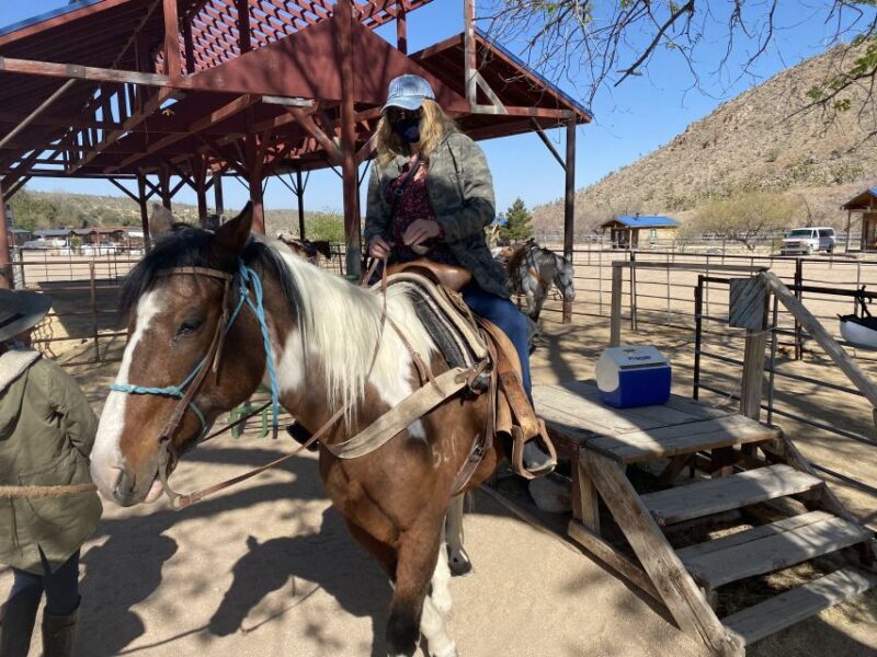 Horseback Ride thru Joshua Tree Forest with Buffalo & Lunch - Authenticity and Reviews: What Travelers Say