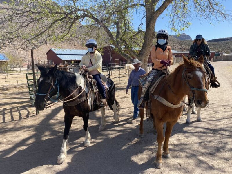 Horseback Ride thru Joshua Tree Forest with Buffalo & Lunch - The Sum Up