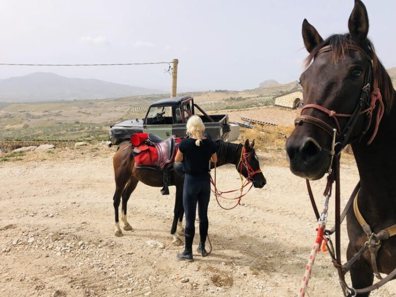 Horseback ride to Caltabellotta and brunch with a shepherd - A Closer Look at the Experience
