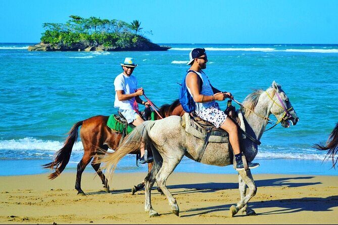 Horseback Ride Tour on the Beach in Puerto Plata - Key Points