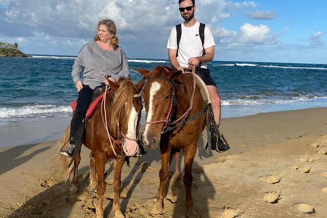 Horseback Ride Tour on the Beach in Puerto Plata - An In-Depth Look at the Experience