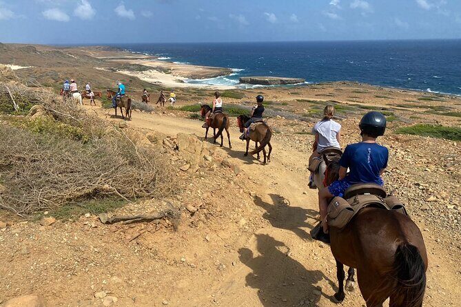 Horseback Ride Tour to Natural Pool in Arikok National Park - What the Reviews Say