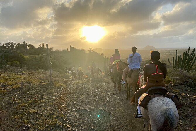 Horseback Ride Tour to Natural Pool in Arikok National Park - The Sum Up