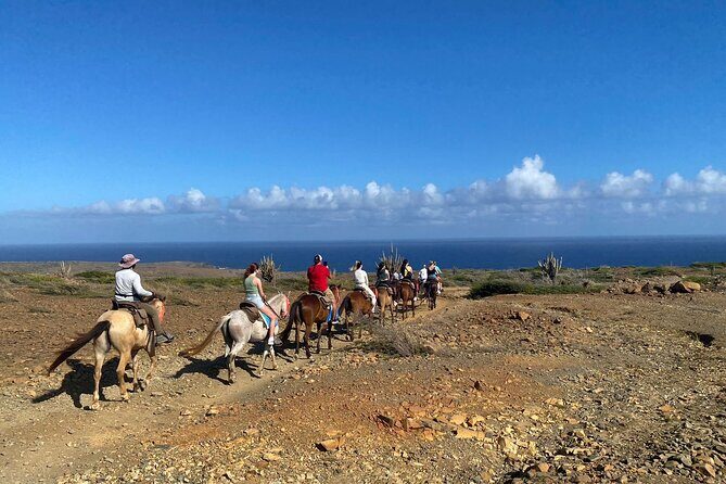 Horseback Ride Tour to Natural Pool in Arikok National Park - FAQ