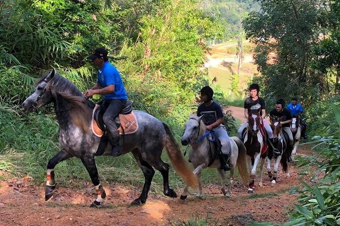 Horseback Riding 1 hour trail - Experience Review: Horseback Riding 1 Hour Trail in Phuket