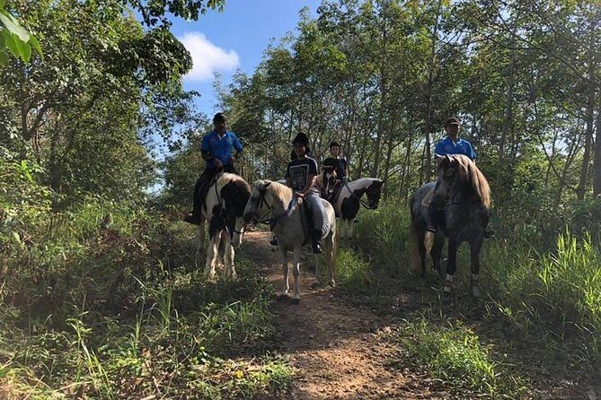 Horseback Riding 1 hour trail - The Itinerary in Detail