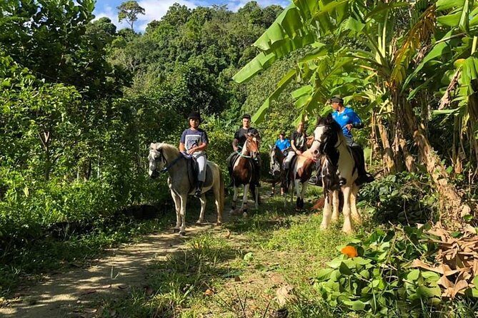 Horseback Riding 1 hour trail - Authentic Experiences and Traveler Perspectives