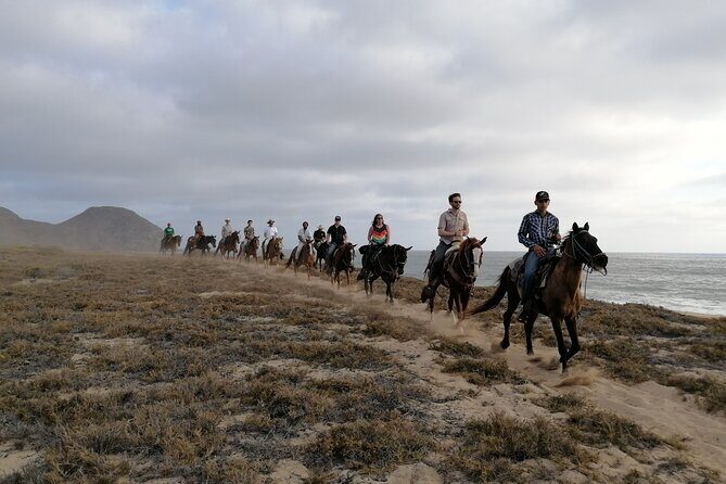 Horseback riding - FAQs