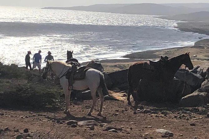 Horseback Riding 2 Hr SUNSET , Rock formation & North Coast Ride - Key Points
