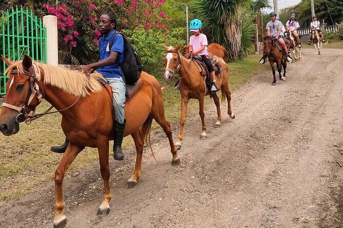 Horseback Riding, A Scenic Escape - The Real Experience: What Travelers Say