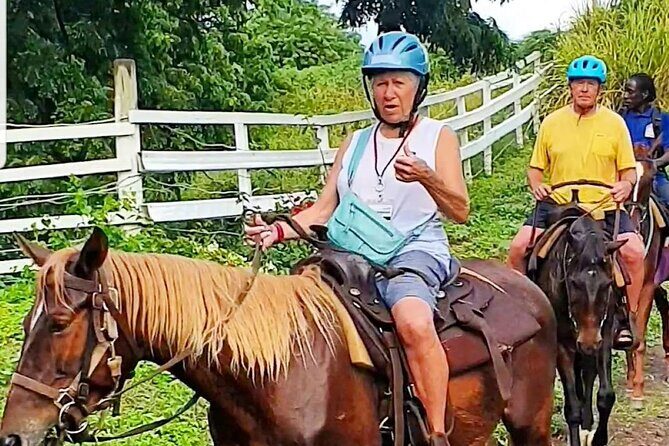 Horseback Riding, A Scenic Escape - Is This Tour Worth It?