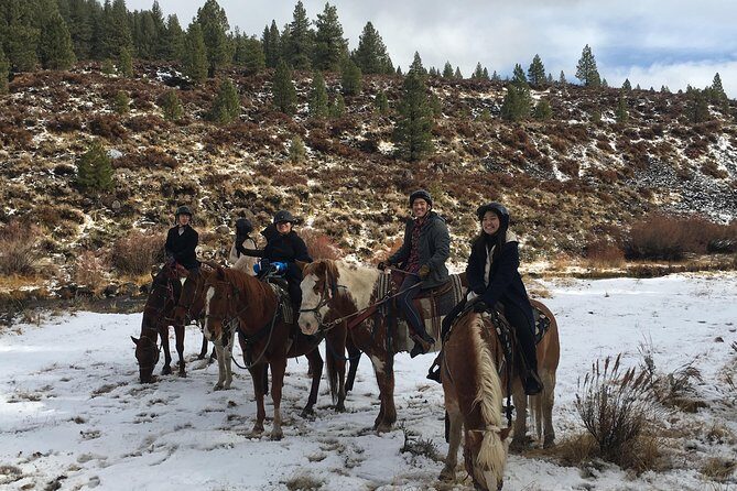 Horseback Riding Adventure from Reno - The Sum Up