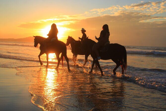 Horseback Riding Adventure in Punta Mita Nayarit - Final Thoughts: Is It Worth It?