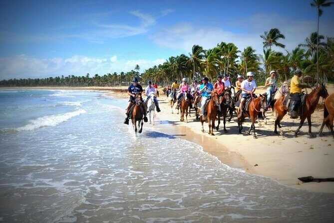 Horseback Riding Adventure on Macao Beach  Punta Cana - An Authentic Look at the Horseback Riding Experience