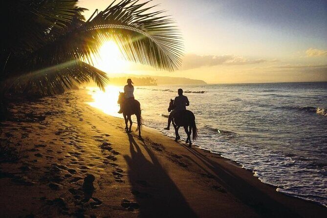 Horseback Riding Adventure on Macao Beach  Punta Cana - Who Should Consider This Tour?