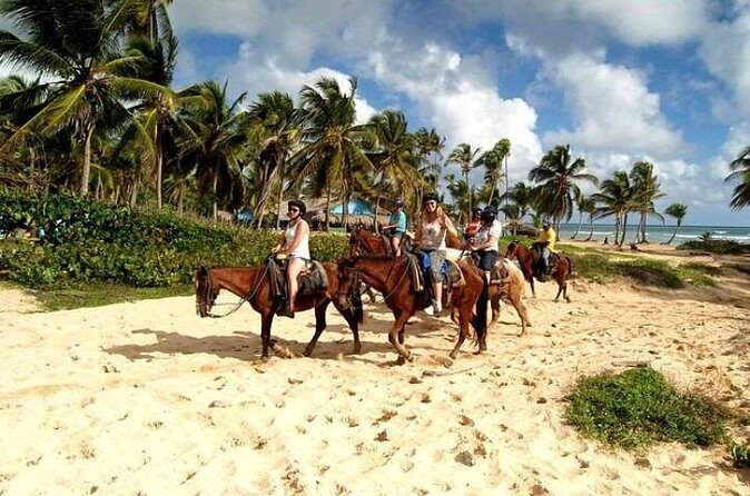 Horseback Riding Adventure on Macao Beach  Punta Cana - Final Thoughts