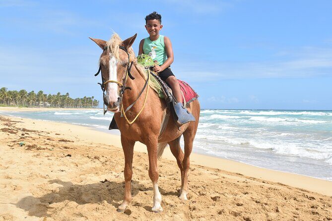 Horseback Riding Adventure Punta Cana - Who Will Love This Tour?