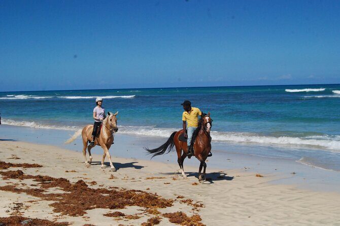 Horseback Riding Adventure Punta Cana - The Sum Up