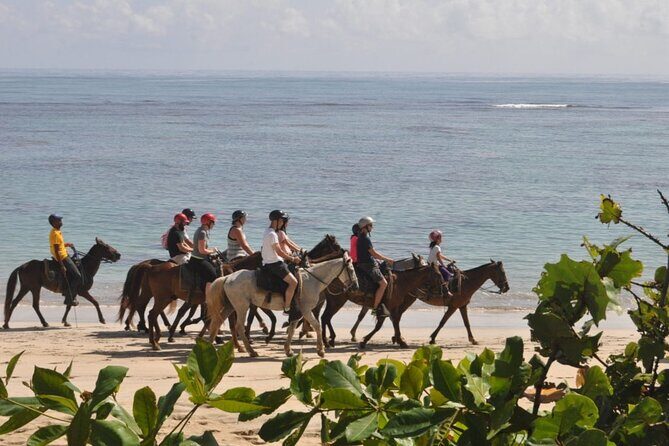 Horseback Riding Adventure Punta Cana - Frequently Asked Questions