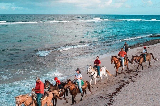 Horseback Riding Adventure to Macao Alto Beaches in Punta Cana - The Practicalities