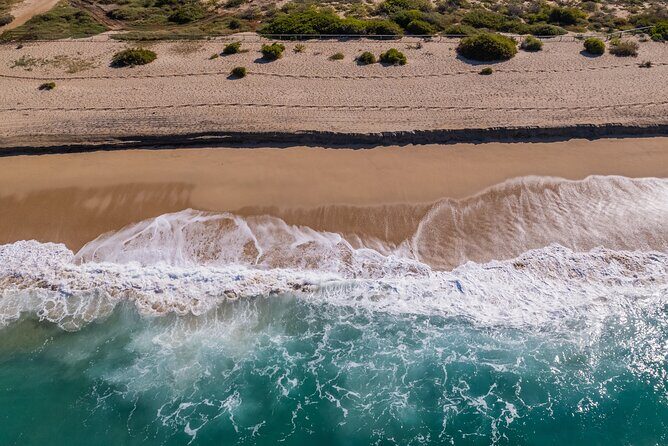 Horseback Riding Adventure y Tequila Tasting in Los Cabos - Who Will Enjoy This Tour?