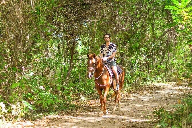 Horseback Riding along Macao Beach with Transportation - The Horseback Riding Experience: A Detailed Look