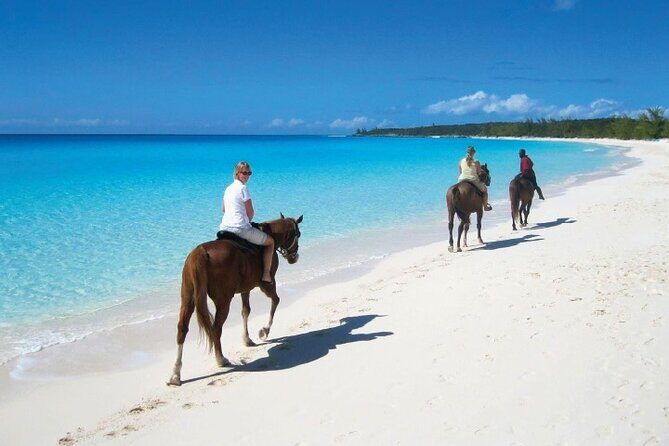 Horseback Riding along the Beach - The Sum Up: Is It Worth It?