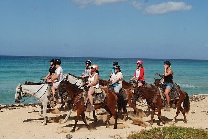 Horseback Riding Along the Beaches of Punta Cana and Macao - What to Expect from the Tour