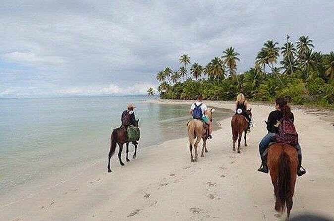 Horseback Riding Along the Beaches of Punta Cana and Macao - Final Thoughts: Who Should Consider This Tour?