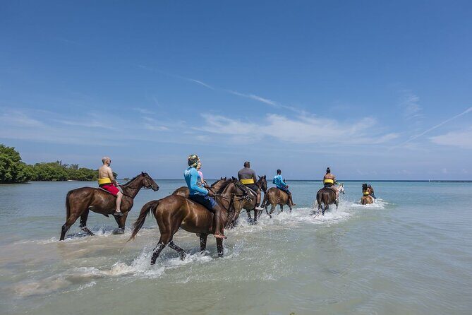 Horseback Riding and Blue Hole, Ocho Rios or River Tubing - Final Thoughts