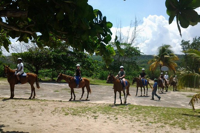 Horseback Riding and Swim from Montego Bay - Key Points