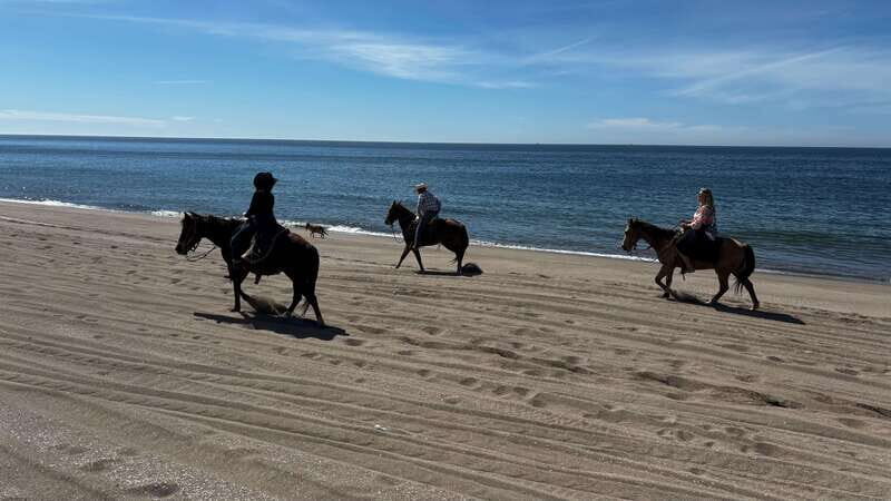 Horseback riding and Temazcal combo with lunch and mezcal - What to Expect from This Unique Tour