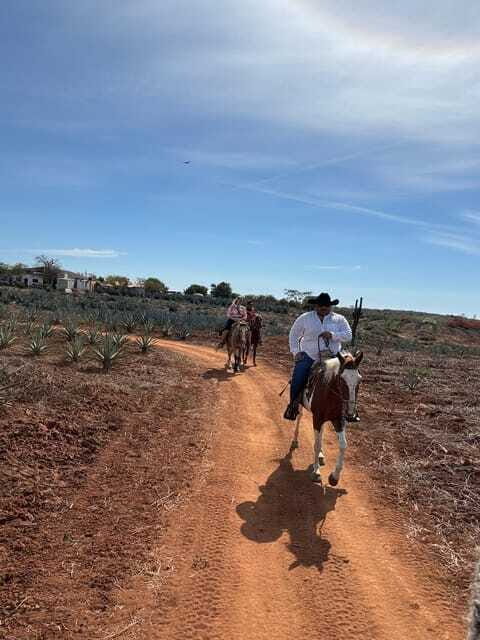 Horseback riding and Temazcal combo with lunch and mezcal - Final Verdict: Who Will Love This Tour?