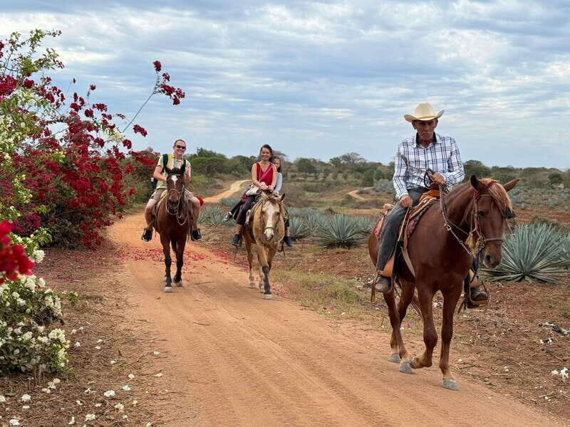 Horseback riding and Temazcal combo with lunch and mezcal - FAQ
