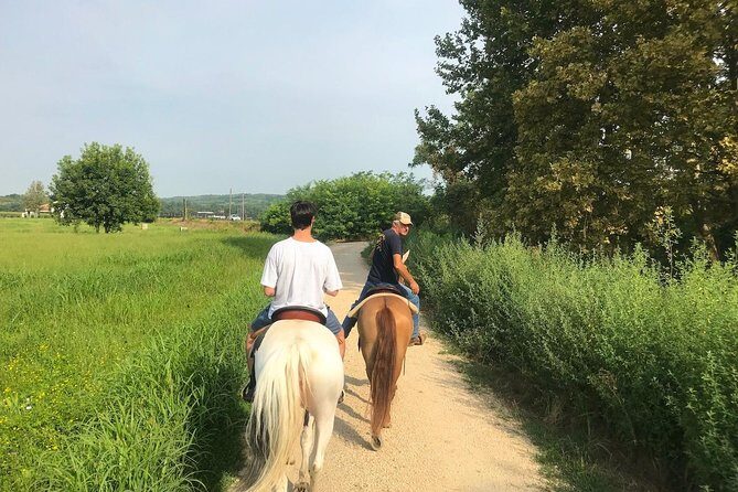 Horseback riding and wine tasting - The Itinerary: A Closer Look